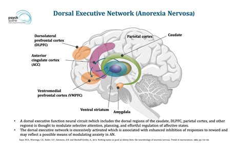 Anorexia Nervosa A Review Of Neurobiology Diagnosis And Management