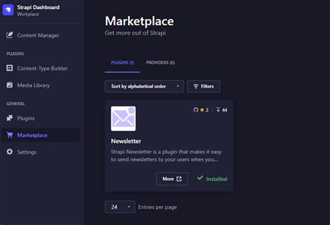 Strapi Newsletter Plugin Has Unclear Documentation Discussions