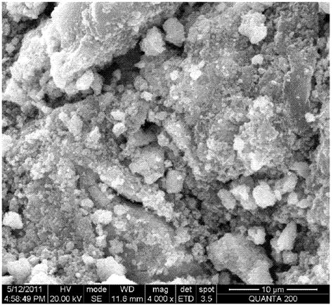 Multifunctional Composite Adsorbent And Preparation Method And