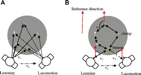 Figure 1 From Spatial Updating According To A Fixed Reference Direction Of A Briefly Viewed