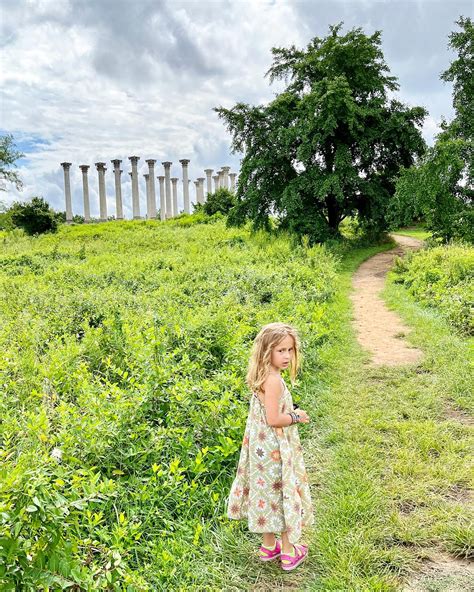 Dc Ward 5 Neighborhood Guides Curiosity And Connection
