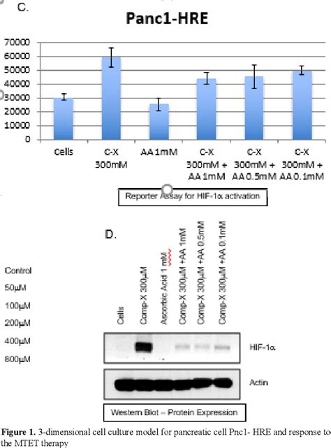 Figure 1 From In Vitro And In Vivo Correlation Of Biomarker Response To