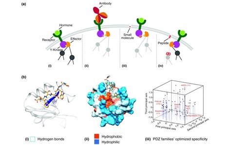 computational drug discovery services biocode