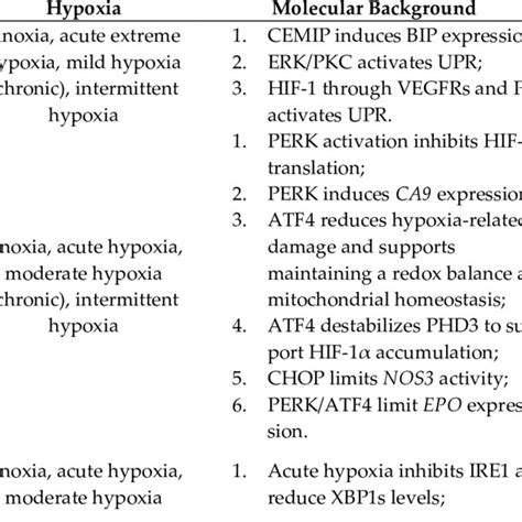 the crosstalk between upr and hypoxia signaling download scientific