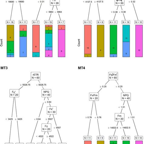 Sualization Of Classification Tree For Chlorophyll Fluorescence Traits Download Scientific