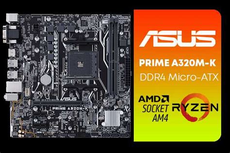 Asus Prime A320m K Micro Atx Am4 Pinout Adapter Complete Guide And Compatibility