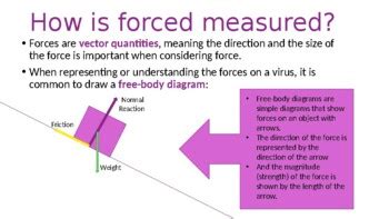 MYP Physics Chapter 6 Function By IB And MYP Resources TpT