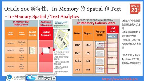 Oracle 20c 的 In Memory 新特性 Spatial 和 Text 支持 墨天轮