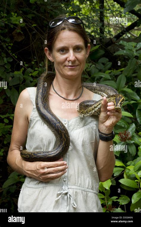 Tourist Holding A Python Mamba Village Mombasa Kenya Stock Photo Alamy