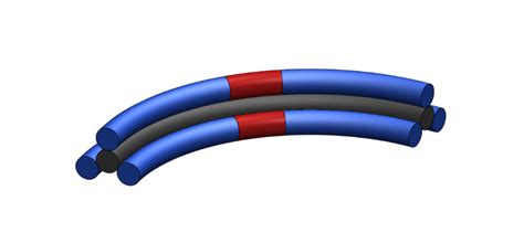 Fiber Shape Sensing Department Of Biomedical Engineering