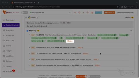 Python 的 Django 应用内部是如何使用内存的（使用 Openresty Xray） Openresty 官方博客