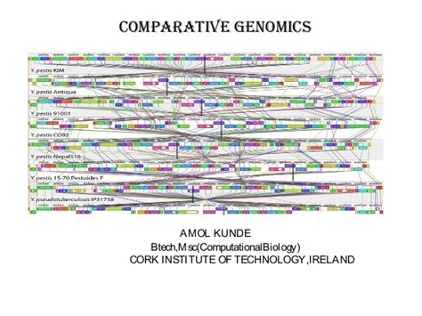 Comparative Genomics