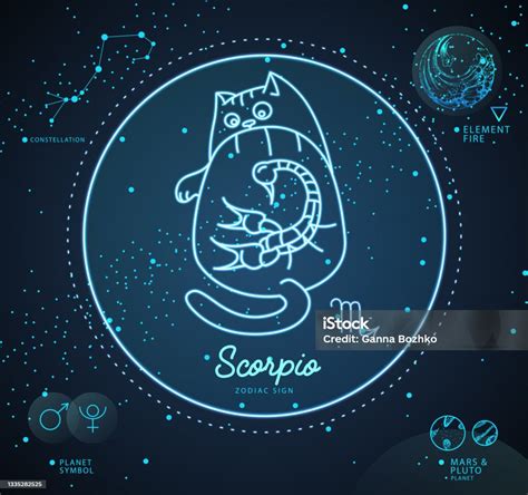 점성술 전갈 자리 조디악 기호현대 마법 마술 카드 만화 조디악 기호 재미있는 고양이 갈고리 발톱에 대한 스톡 벡터 아트 및 기타 이미지 갈고리 발톱 고양이 새끼