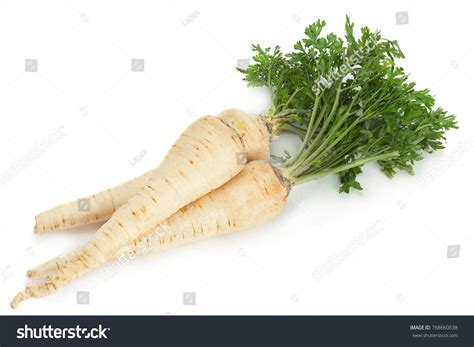 Parsnip Root Leaf Isolated On White Stock Photo 768660538 Shutterstock