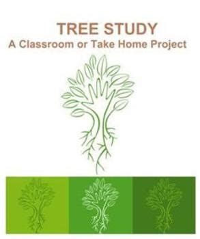 Tree Study A Classroom Or Take Home Project By Teresa Bondora TPT