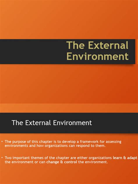 External Environment 2 Pdf Information Natural Environment