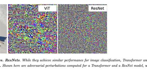 Vision Transformers Vs Resnet Album On Imgur