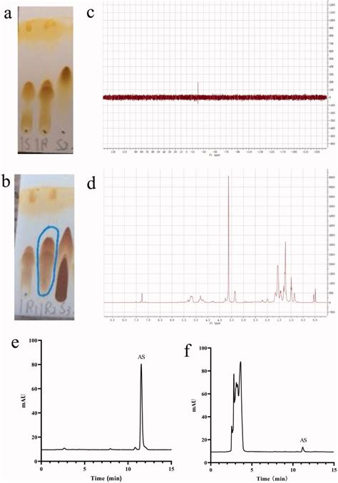 Alendronate Modified Mpeg Plga Nano Micelle Drug Delivery System Loaded