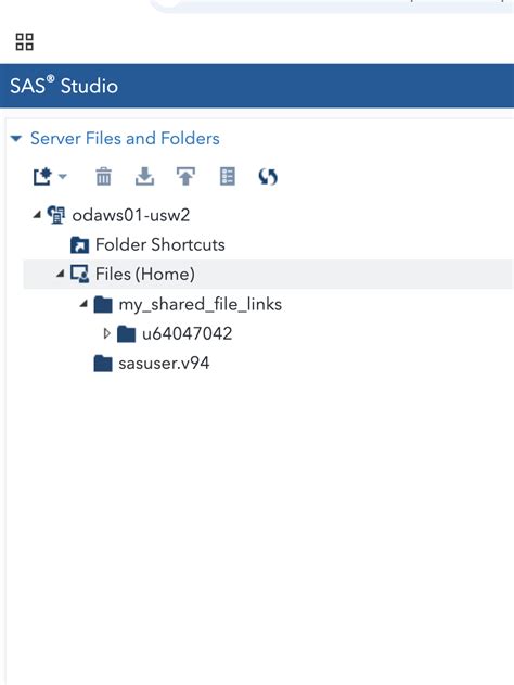How To Find The File P101a03sas And Activity Files Sas Support Communities