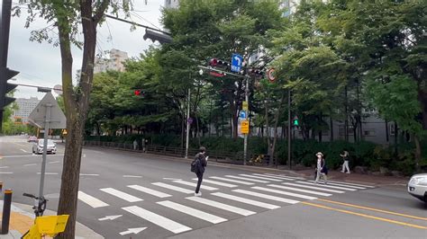 Trackpedestrian Object Detection Dataset By Zzennin