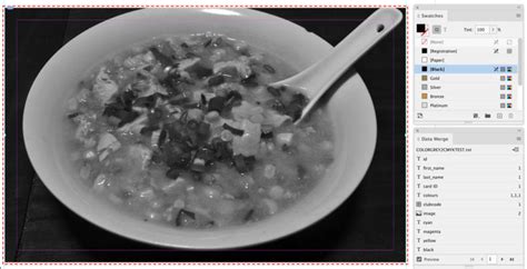 Colorizing Variable Grayscale Images During Data Merge CreativePro Network