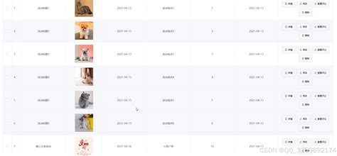 Java Jsp Ssm Vue Csdn