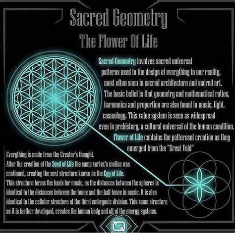 Flower Of Life Meditation For Universal Love Artofit