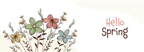 Hello Spring Banner Or Header Design Decorated With Beautiful Floral On White Background