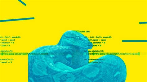 Top Oops Concepts In Python That Every Programmer Must Know