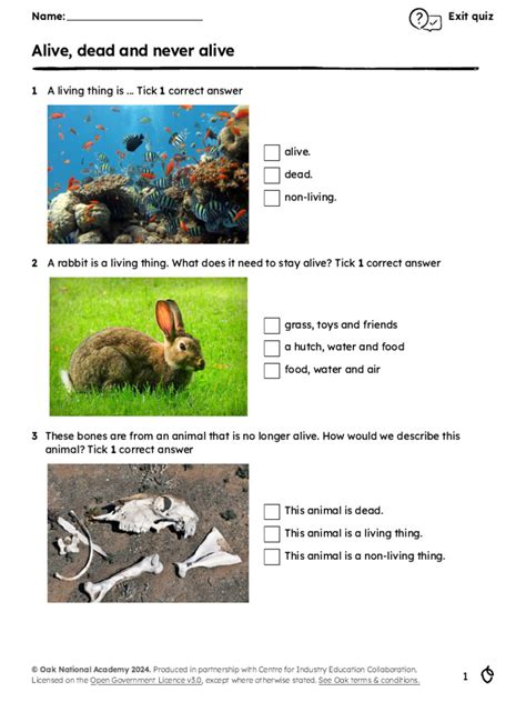 Exit Quiz Questions Pdf