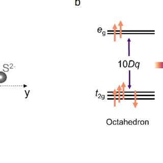Simulated XA Spectra With Different Spin Orientations A Schematic Of