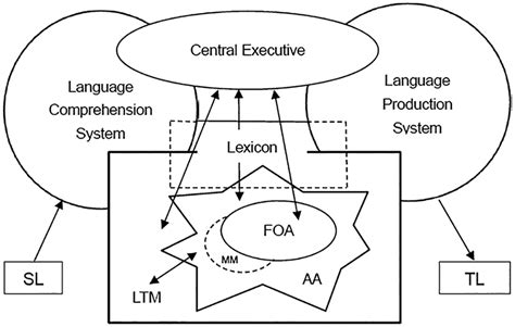 Language Comprehension Production Systems And Working Memory Download Scientific Diagram
