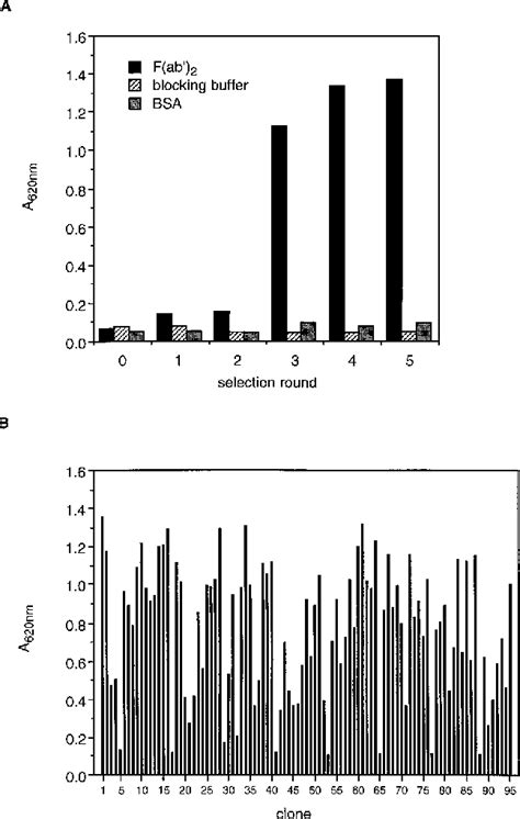 Figure 1 From The Antigen Binding Domain Of A Human Igg Anti F Ab 2