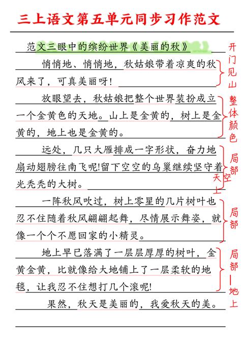 统编版语文三年级上册第五单元同步习作范文 21世纪教育网