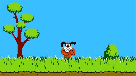 돌팔이 의사 사우스 캐롤라이나 남성 Nintendo Duck Hunt 권총으로 편의점 털다 Gamingdeputy Korea