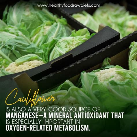 Beta Cryptoxanthin Rich Foods At Dorothy Torrey Blog