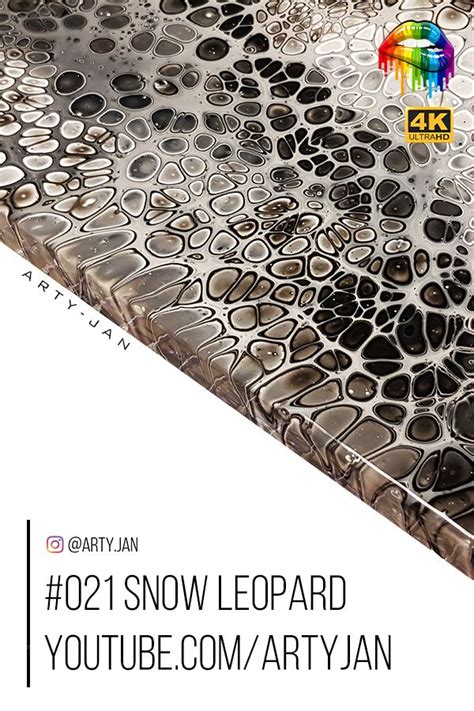 021 Snow Leaopard