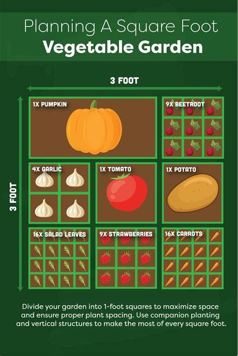 Square Foot Gardening Layout Square Foot Gardening Layout Square Foot Gardening Small