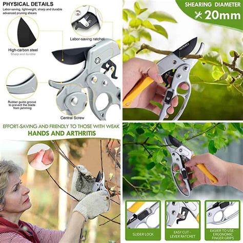 10 Long Handled Tree Loppers For Thick Branches In 2025