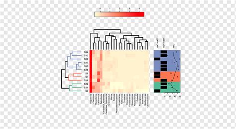Graphic Design Brand Diagram Design Angle Text Rectangle Png Pngwing