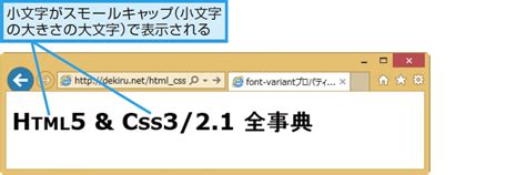 Html5 Css3 21全事典