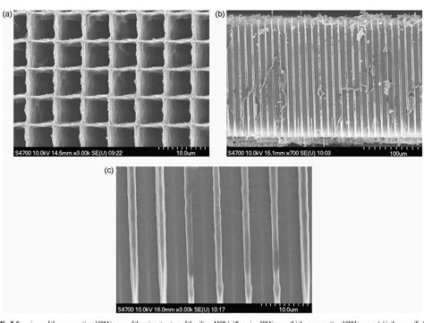 Figure 1 From 3d Ordered Niosilicon Mcp Array Electrode Materials For Electrochemical