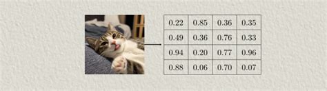 Multi Headed Cross Attention By Hand Towards Data Science