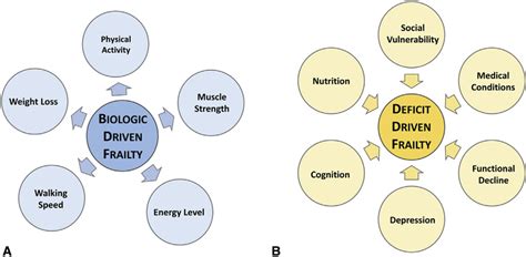 Two Conceptualizations Of Frailty Reproduced With Permission From 15•• Download Scientific