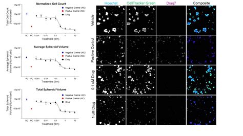 The Next Dimension In Phenotypic Drug Discovery Phenovista
