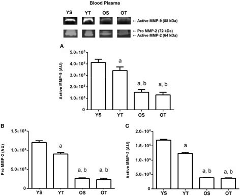 Effects Of Resistance Training On Matrix Metalloproteinase Activity In Skeletal Muscles And
