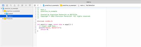 Can I Make A File That I Create At Runtime To Appear In The Contents Of Xcode Project Stack