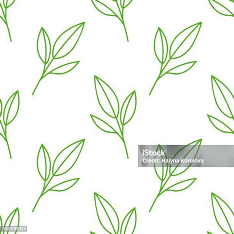 간단한 녹색 잎입니다 우아한 꽃무늬 완벽 한 패턴입니다 0명에 대한 스톡 벡터 아트 및 기타 이미지 0명 디자인 벡터 Istock