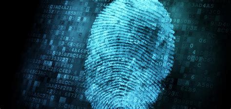 Top Skills Required For Computer Forensics Careers Blog Champlain
