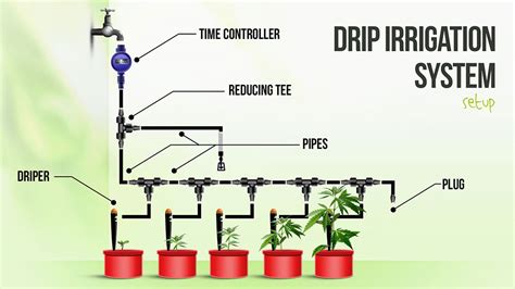 Drip System Irrigation How To Design The Simple Low Tech My XXX Hot Girl